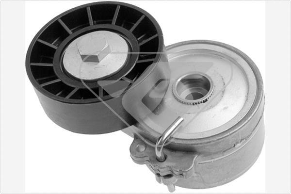 Galet tendeur de courroie d'accessoire HUTCHINSON T0306 au meilleur ...