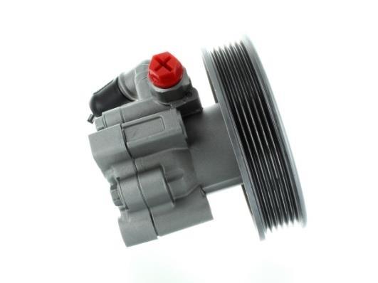 Bomba hidráulica, dirección GKN 52687 al mejor precio - Oscaro