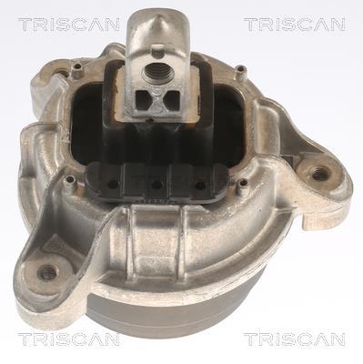 Support moteur Triscan A/S 8505 11118 au meilleur prix - Oscaro