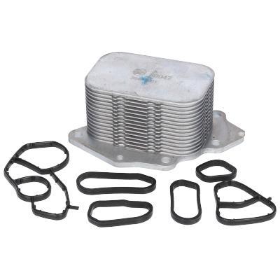 Radiador óleo motor ORIGINAL BIRTH 80047 ao melhor preço - Oscaro