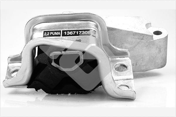 Soporte, motor HUTCHINSON 594466 al mejor precio - Oscaro