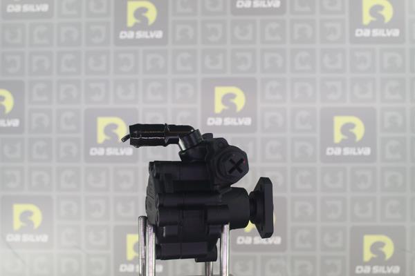 Pompe de direction assistée DA SILVA S.A.S. DP3617 au meilleur prix ...