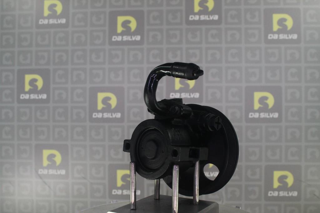 Pompe de direction assistée DA SILVA S.A.S. DP3619 au meilleur prix ...