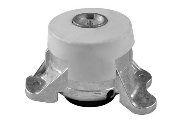 Support moteur TEDGUM TED46349 au meilleur prix - Oscaro