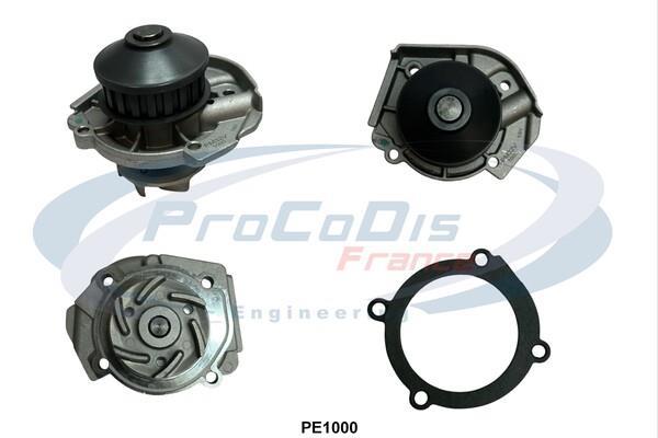 Pompe à eau PROCODIS FRANCE PE1000 au meilleur prix - Oscaro