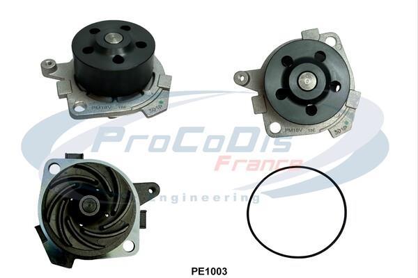 Pompe à eau PROCODIS FRANCE PE1003 au meilleur prix - Oscaro