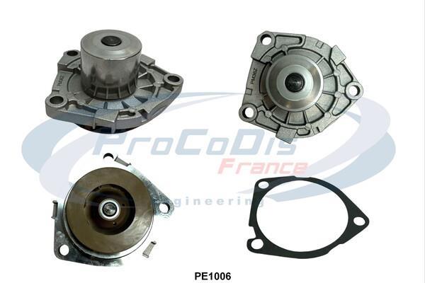 Pompe à eau PROCODIS FRANCE PE1006 au meilleur prix - Oscaro