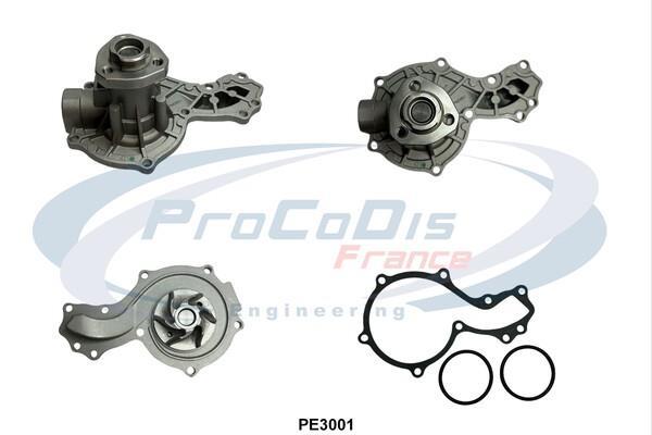Pompe à eau PROCODIS FRANCE ref. PE3001 au meilleur prix - Oscaro