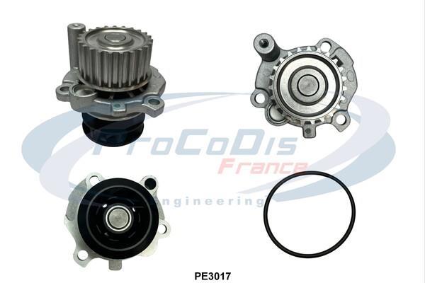 Pompe à eau PROCODIS FRANCE PE3017 au meilleur prix - Oscaro