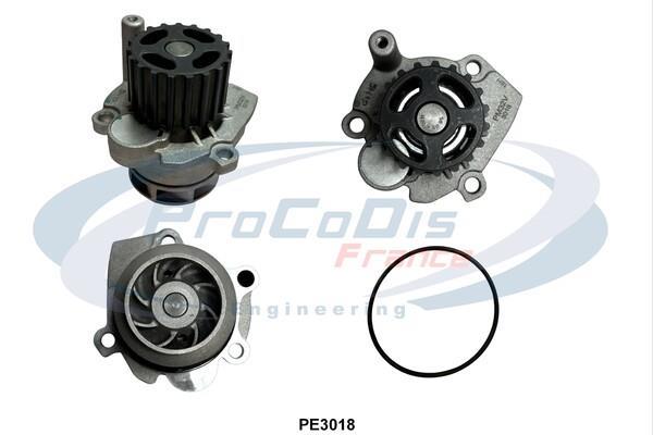 Pompe à eau PROCODIS FRANCE PE3018 au meilleur prix - Oscaro