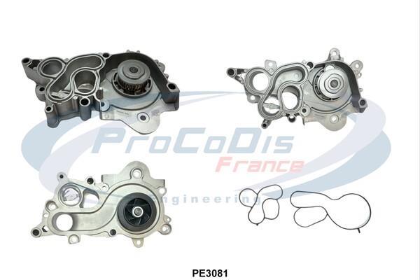 Pompe à eau PROCODIS FRANCE PE3081 au meilleur prix - Oscaro