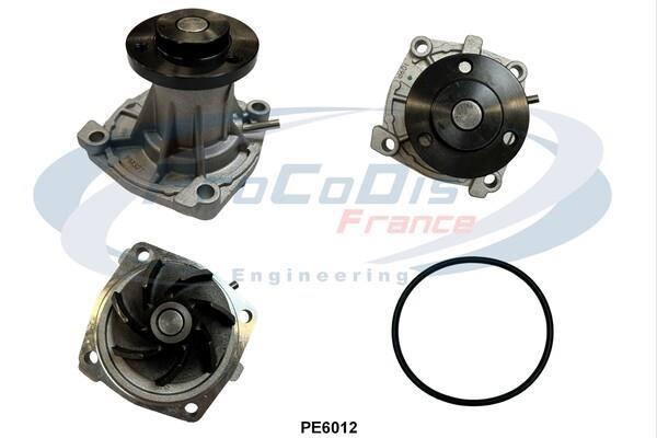 Pompe à eau PROCODIS FRANCE ref. PE6012 au meilleur prix - Oscaro