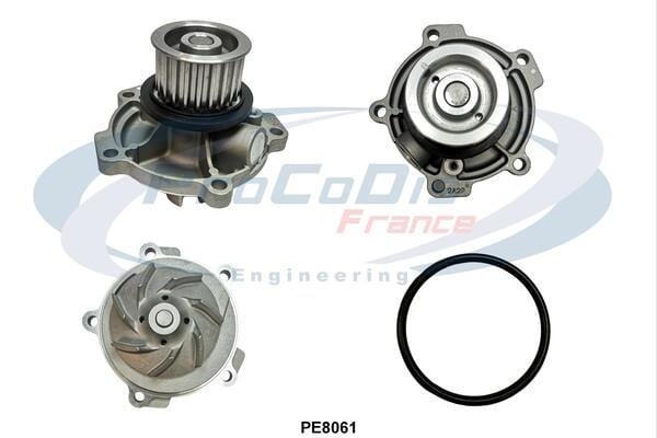 Pompe à eau PROCODIS FRANCE PE8061 au meilleur prix - Oscaro