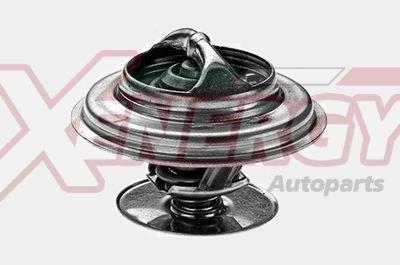 Thermostat d'eau XENERGY XT5963 au meilleur prix - Oscaro