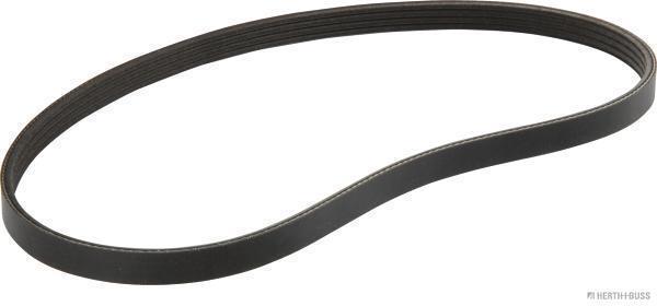 Courroie trapézoïdale à nervures HERTH+BUSS JAKOPARTS J1042000 au ...