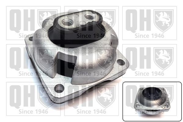 Support moteur QUINTON HAZELL EM4769 au meilleur prix - Oscaro