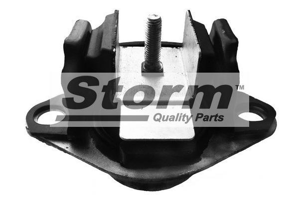 Support moteur Storm F2051 au meilleur prix - Oscaro