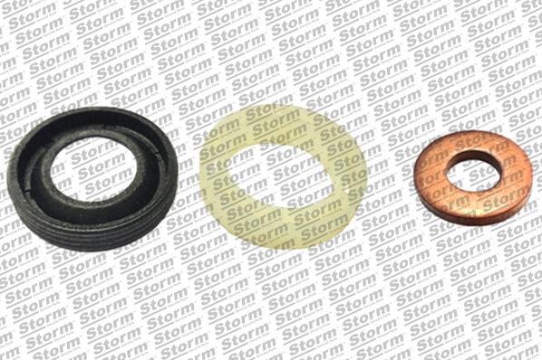 Anillo retén, diferencial Storm 460004 al mejor precio - Oscaro