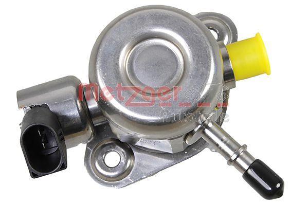 Pompe à haute pression METZGER 2250494 au meilleur prix - Oscaro