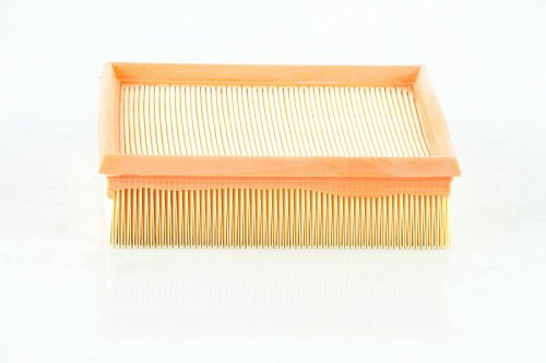 Filtre à air PURFLUX A1037 au meilleur prix - Oscaro