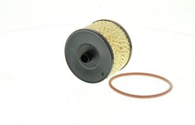 Filtro combustible PURFLUX C489 al mejor precio - Oscaro