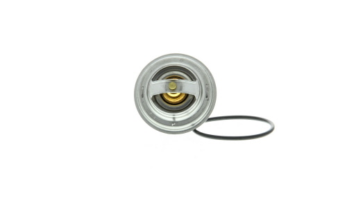 Termostato, refrigerante GATES TH01982G1 al mejor precio - Oscaro