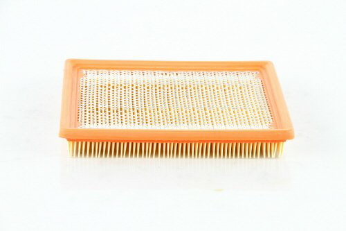 Filtre à air PURFLUX A1154 au meilleur prix - Oscaro