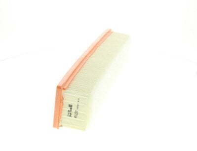 Filtro de aire (de coche) PURFLUX A1229 al mejor precio - Oscaro