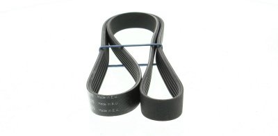 Correa trapezoidal nervada SKF VKMV 6PK1199 al mejor precio - Oscaro