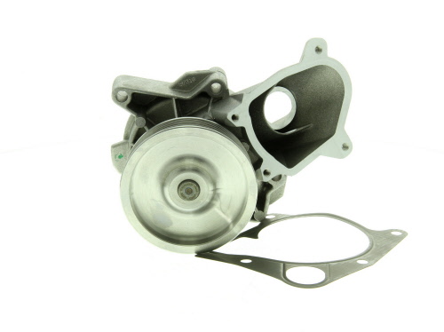 Pompe à eau SALERI PA1248S au meilleur prix - Oscaro