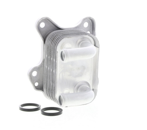 Radiateur d'huile moteur Metalcaucho 05761 au meilleur prix - Oscaro