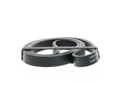 Correa trapezoidal nervada DAYCO 5PK1236EE al mejor precio - Oscaro