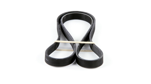 Correa trapezoidal nervada CONTITECH 6PK1560 al mejor precio - Oscaro