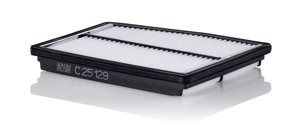 Filtre à air MANN-FILTER ref. C 25 129 au meilleur prix - Oscaro