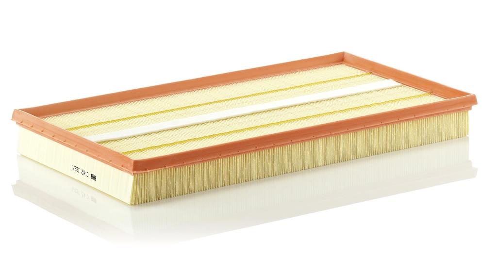 Filtro de aire (de coche) MANN-FILTER C 42 192/1 al mejor precio - Oscaro